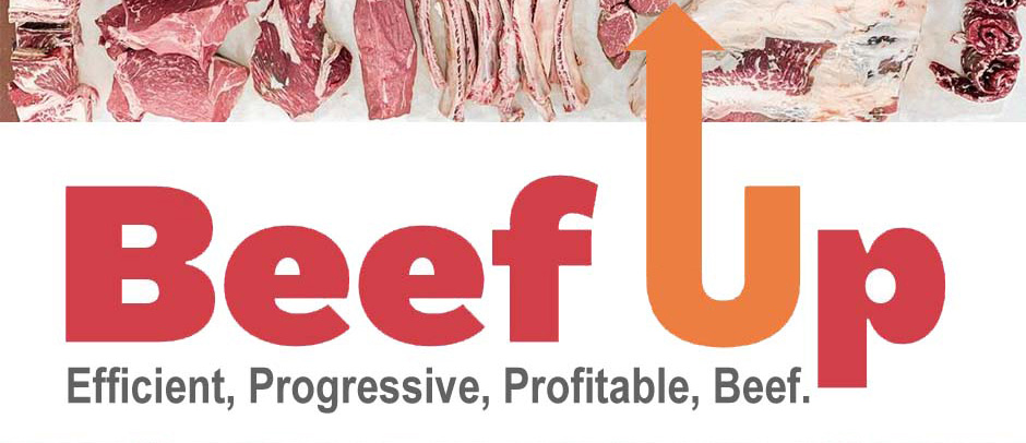APSC-DASC-01 Beef-Up Processing Short-Course | Virginia Cooperative ...